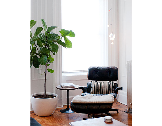 Townsend Design - The Apartment, After Two Years of Living